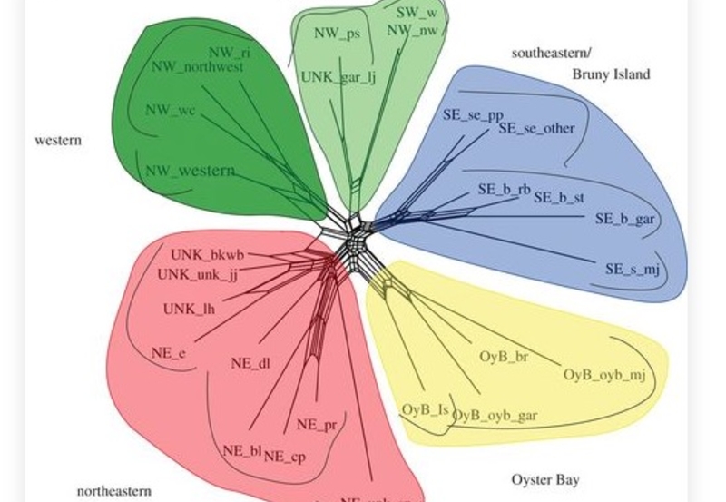 Labs & Reading Groups | Yale Linguistics